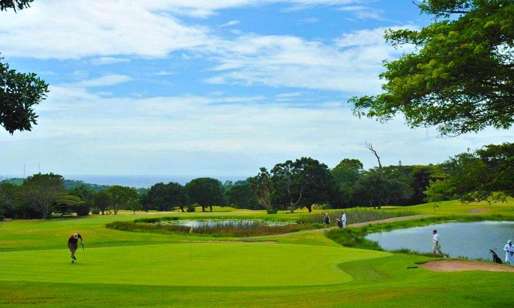 Selborne Park Golf Course Golf Holidays in South Africa