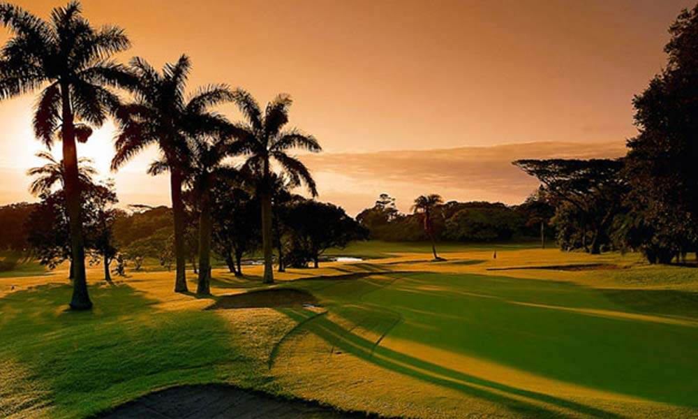 Selborne Park Golf Course Golf Holidays In South Africa 9712